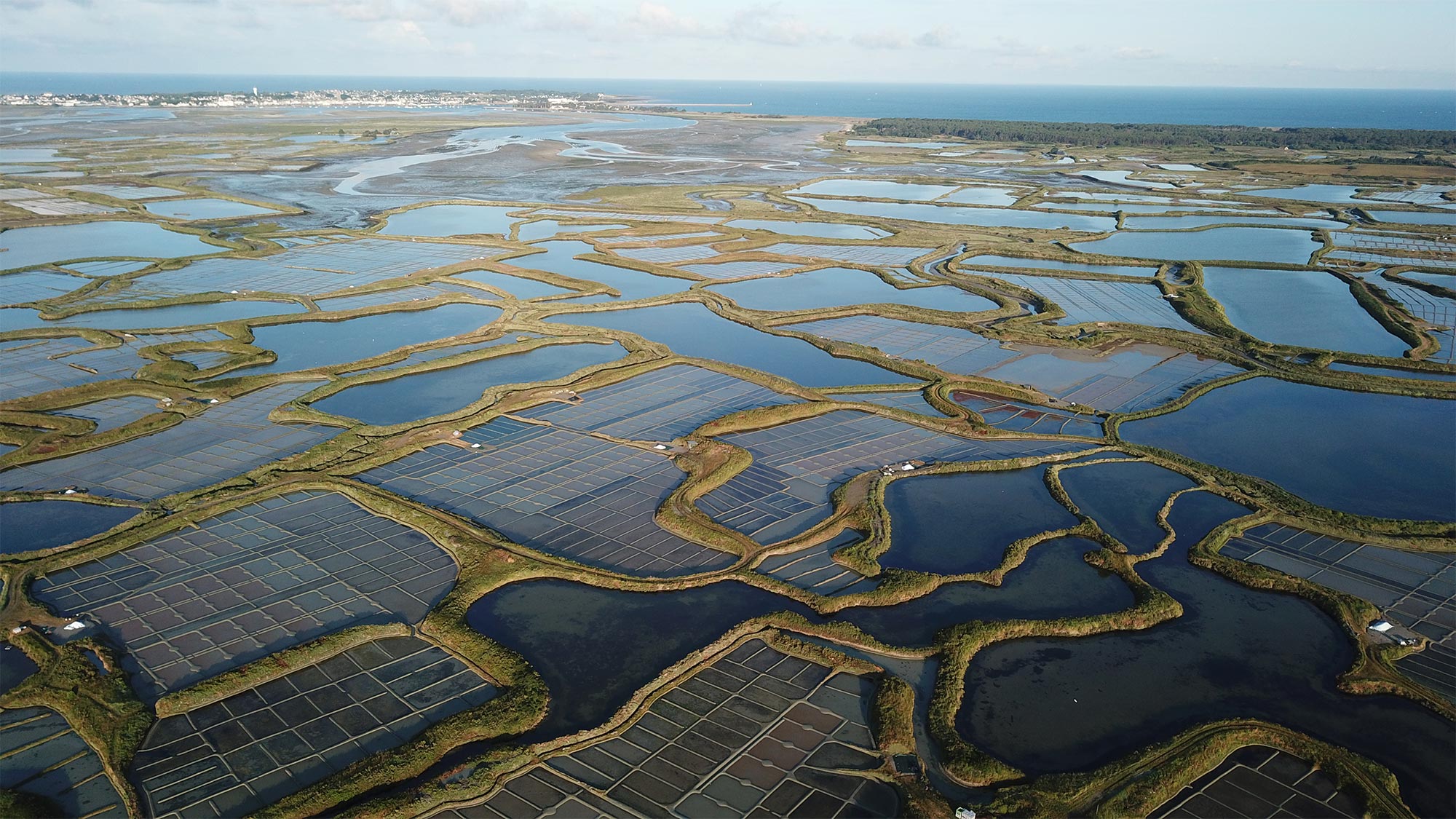 Sites, The salt marshes of Guérande and Mès, LIFE Sallina