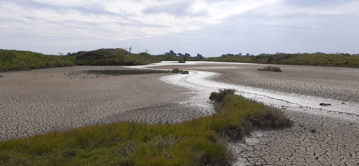 Les sites LIFe Sallina, Le Marais breton salé