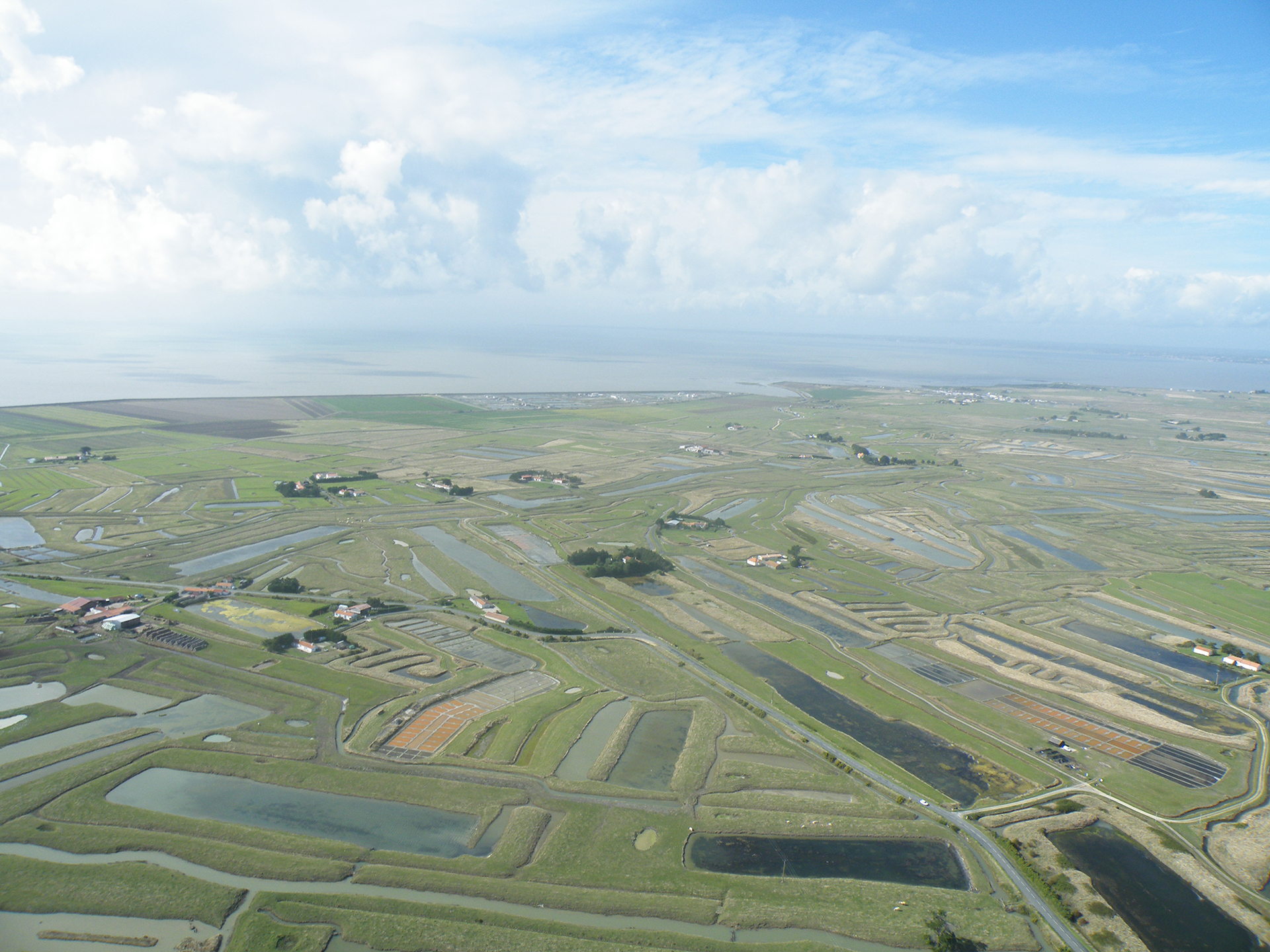 Les sites LIFe Sallina, Le Marais breton salé