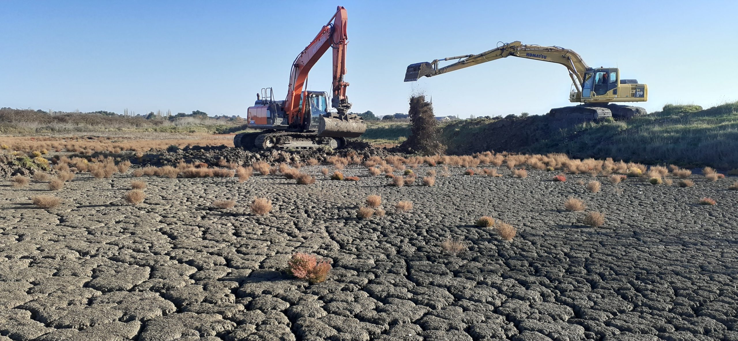 Marais de Millac : les travaux reprennent! - Life Sallina