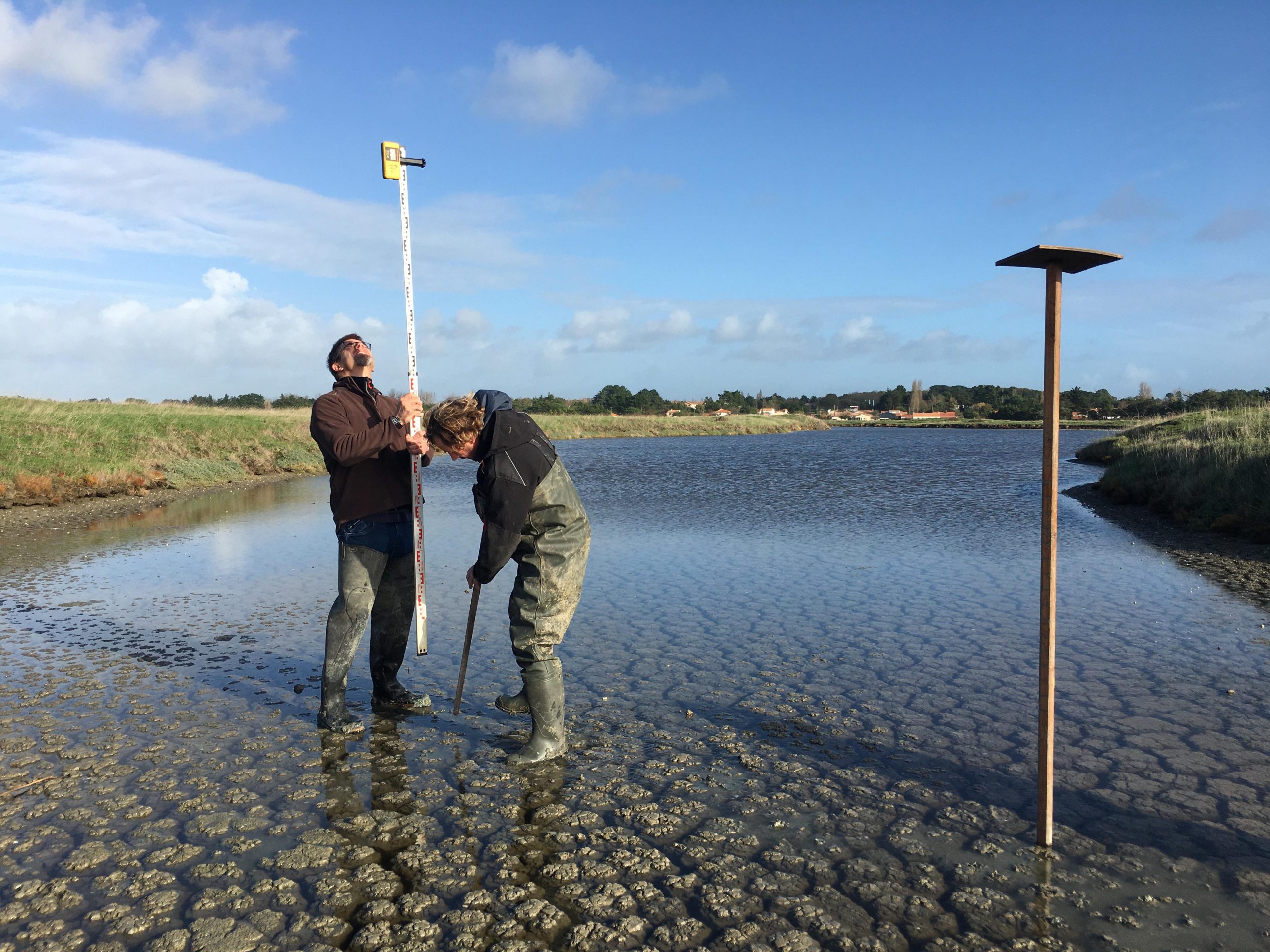 Marais de Millac : les travaux reprennent ! - Life Sallina